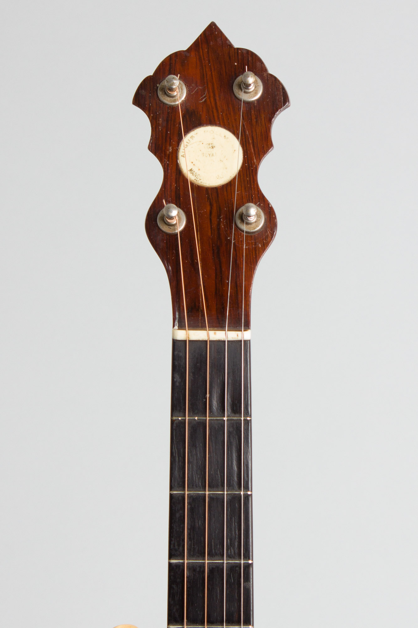 August Pollmann Royal Mandolin Banjo (1890) | RetroFret