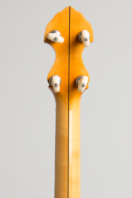 Fairbanks/Vega Whyte Laydie Style R Conversion 5 String Banjo (1920 ...