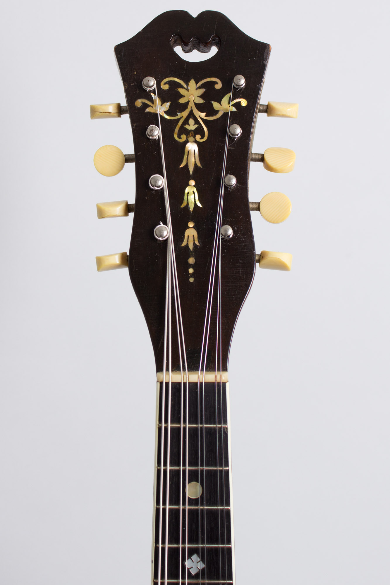 Maurer Flat Back, Bent Top Mandolin, made by Larson Brothers (1922 ...