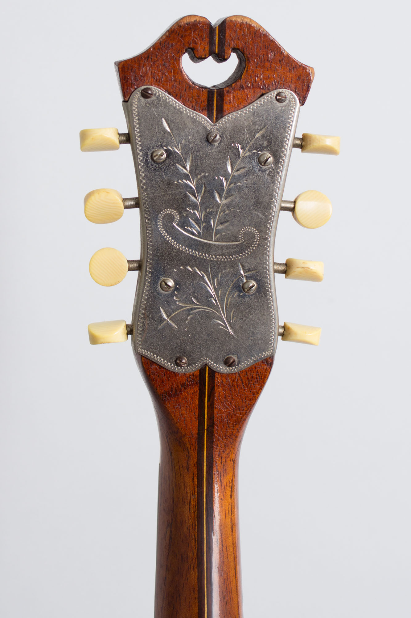Maurer Flat Back, Bent Top Mandolin, made by Larson Brothers (1922 ...