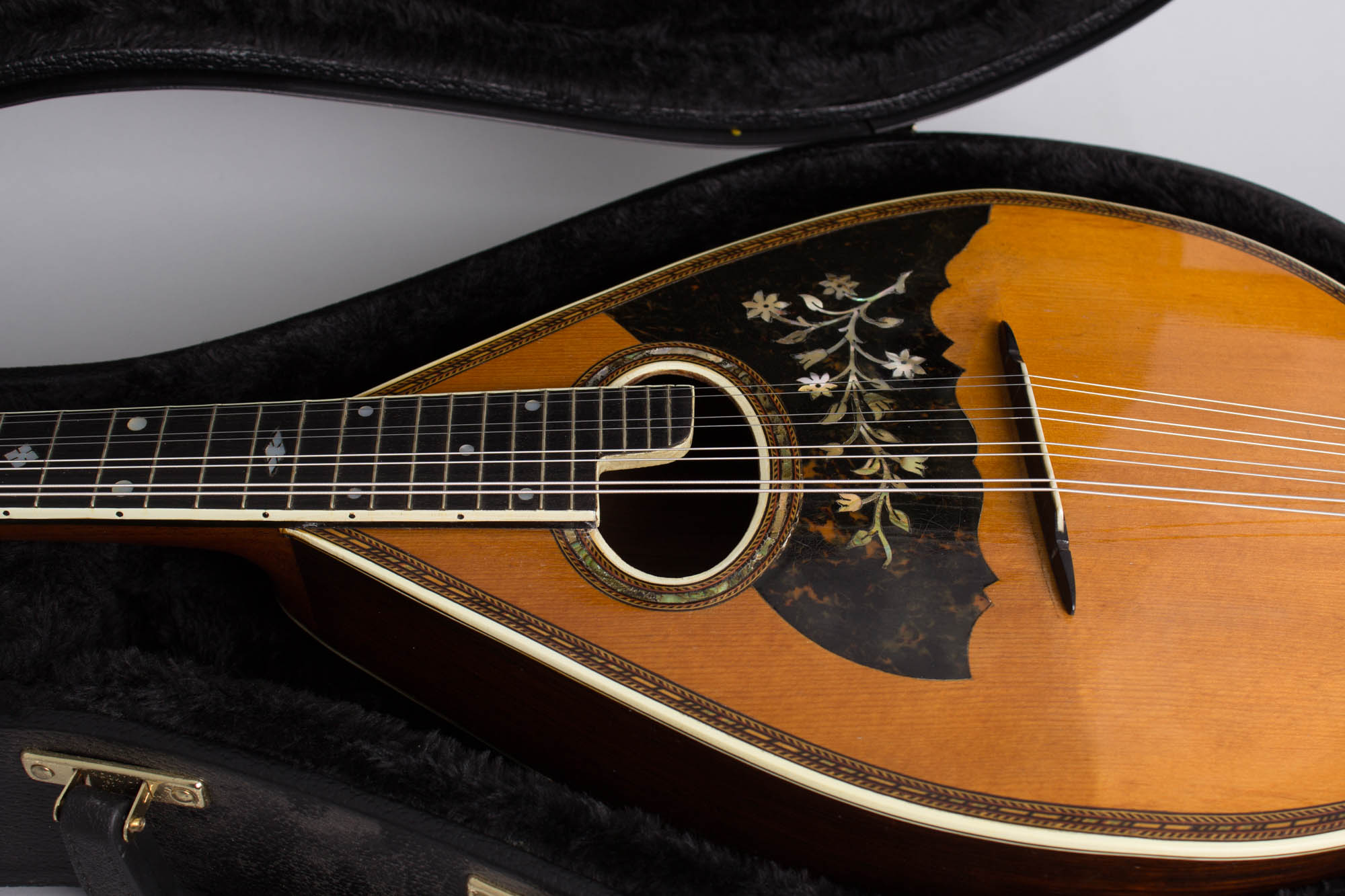 Maurer Flat Back, Bent Top Mandolin, made by Larson Brothers (1922 ...