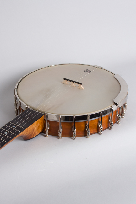 Mike Ramsey Special 5 String Banjo (2013) | RetroFret