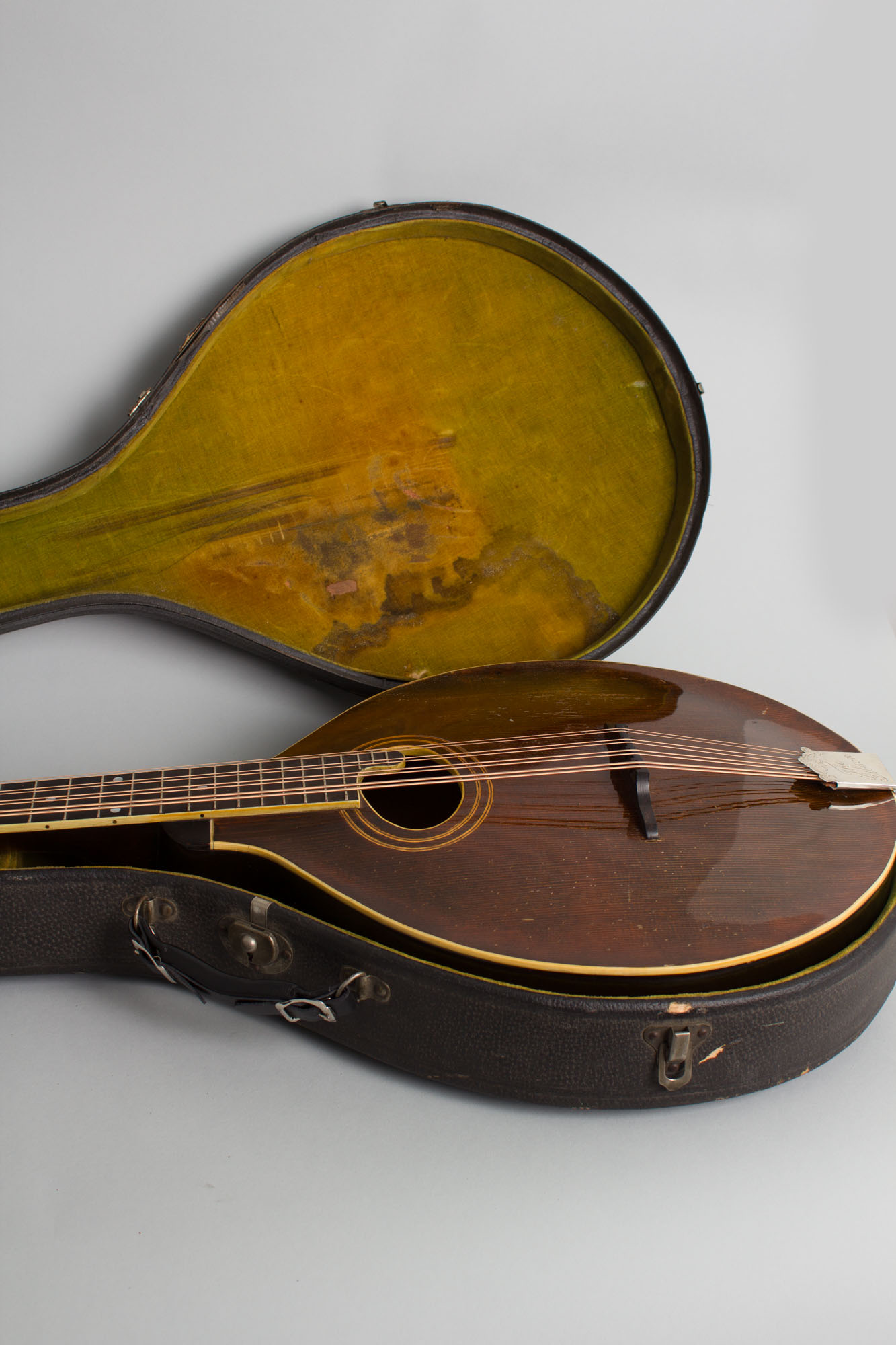 Gibson K-1 Carved Top Mandocello (1921) | RetroFret
