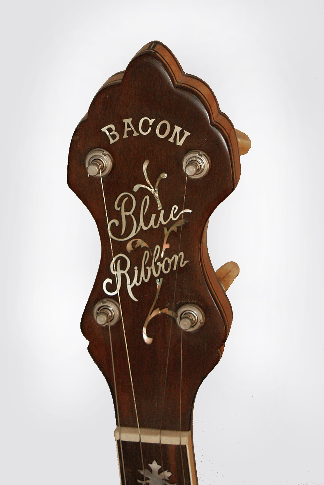 Bacon Blue Ribbon Conversion 5 String Banjo , c. 1923 | RetroFret