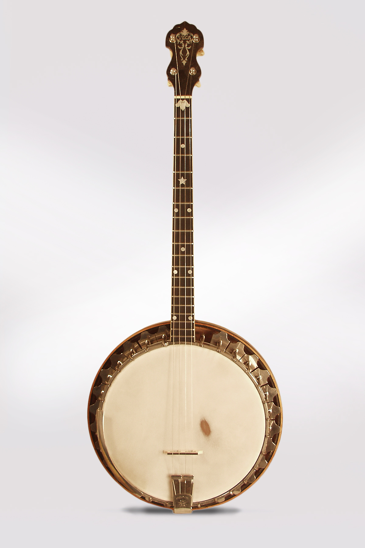 Vega Vegaphone Professional Tenor Banjo (1929) | RetroFret