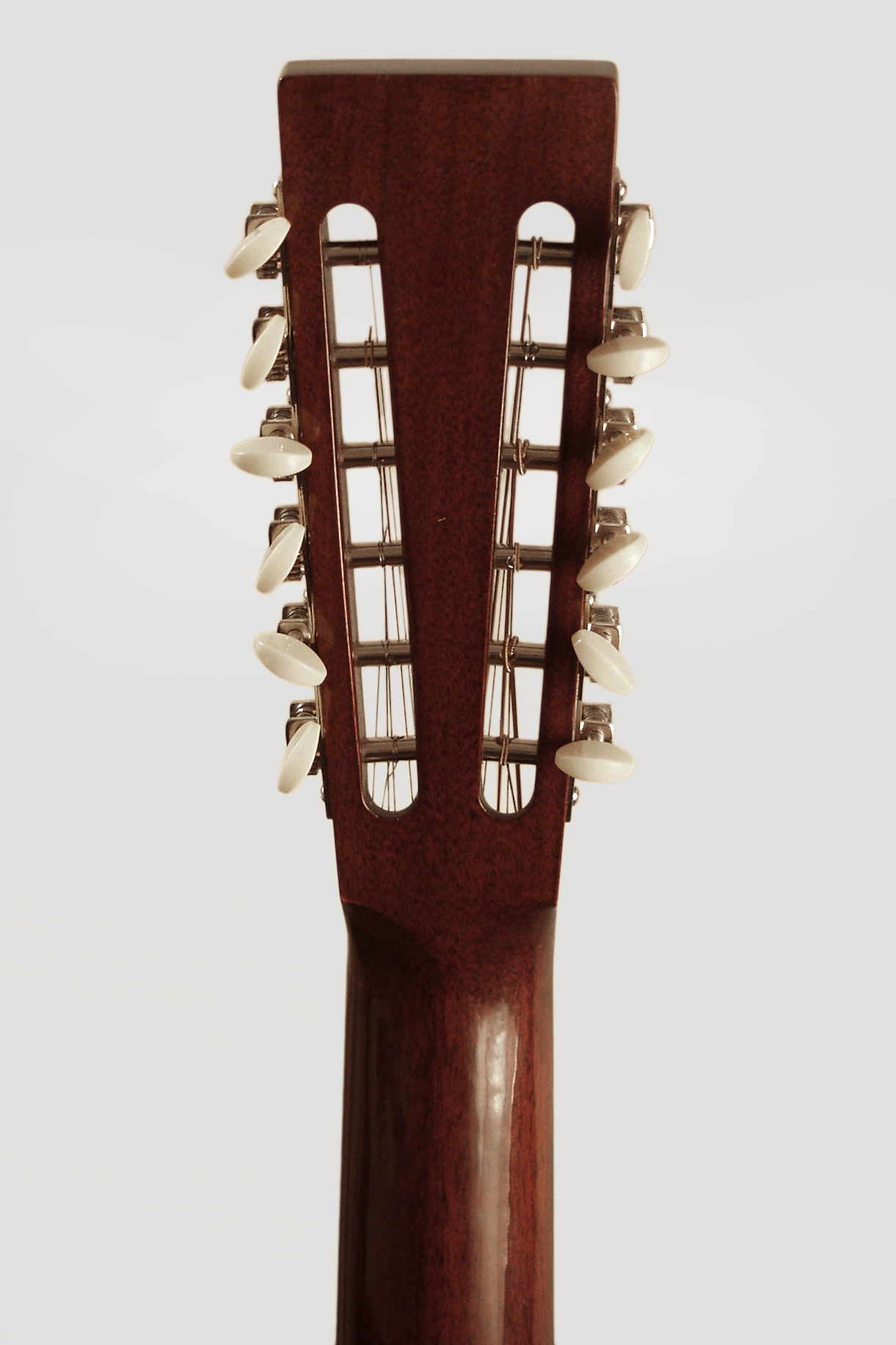 Fraulini Francesca Leadbelly Model 12 String Flat Top Acoustic Guitar ...