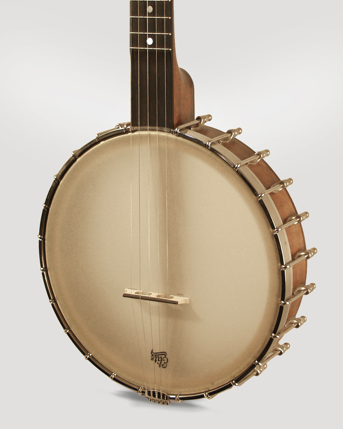 Bart Reiter Standard 5 String Banjo (2012) | RetroFret