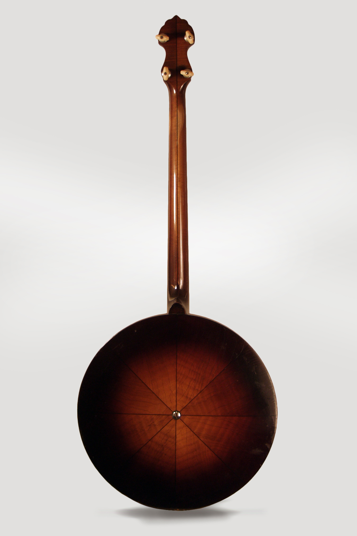 Vegaphone Professional Tenor Banjo (1927) | RetroFret