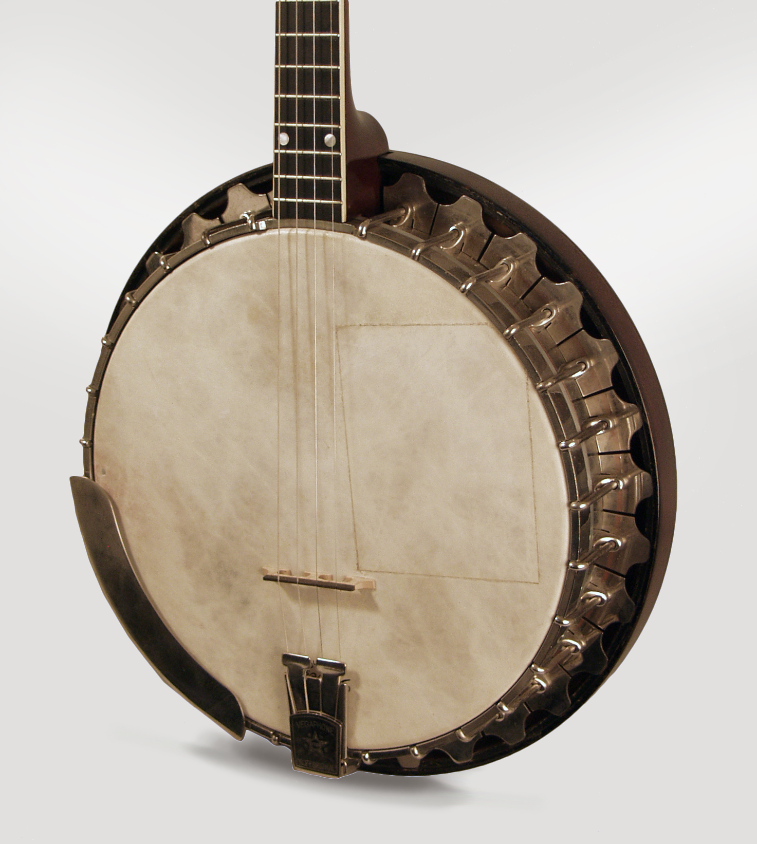 Vegaphone Professional Tenor Banjo (1927) | RetroFret