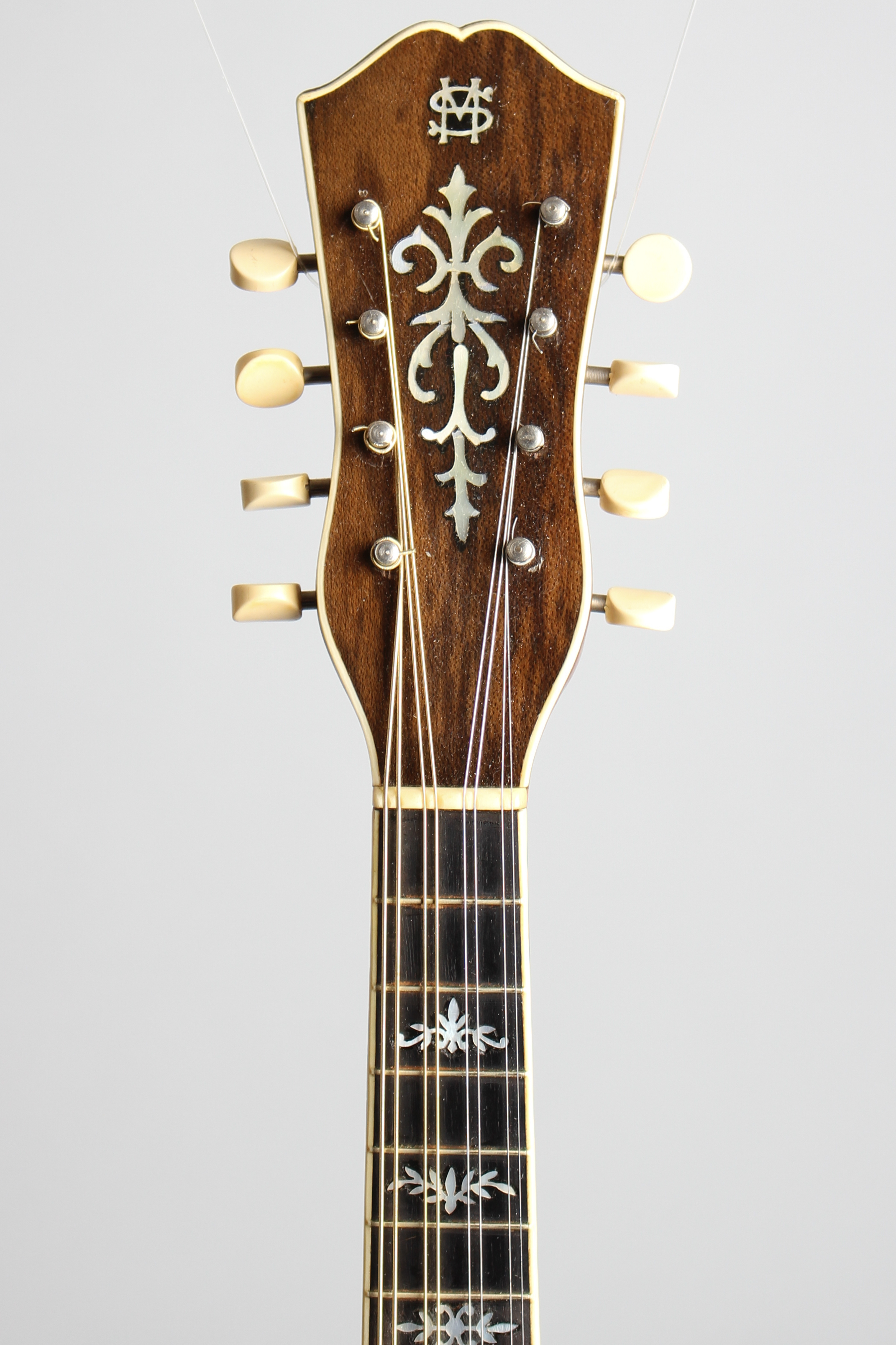 Favilla Marca Aquilla Flat Back, Bent Top Mandolin , c. 1925 | RetroFret