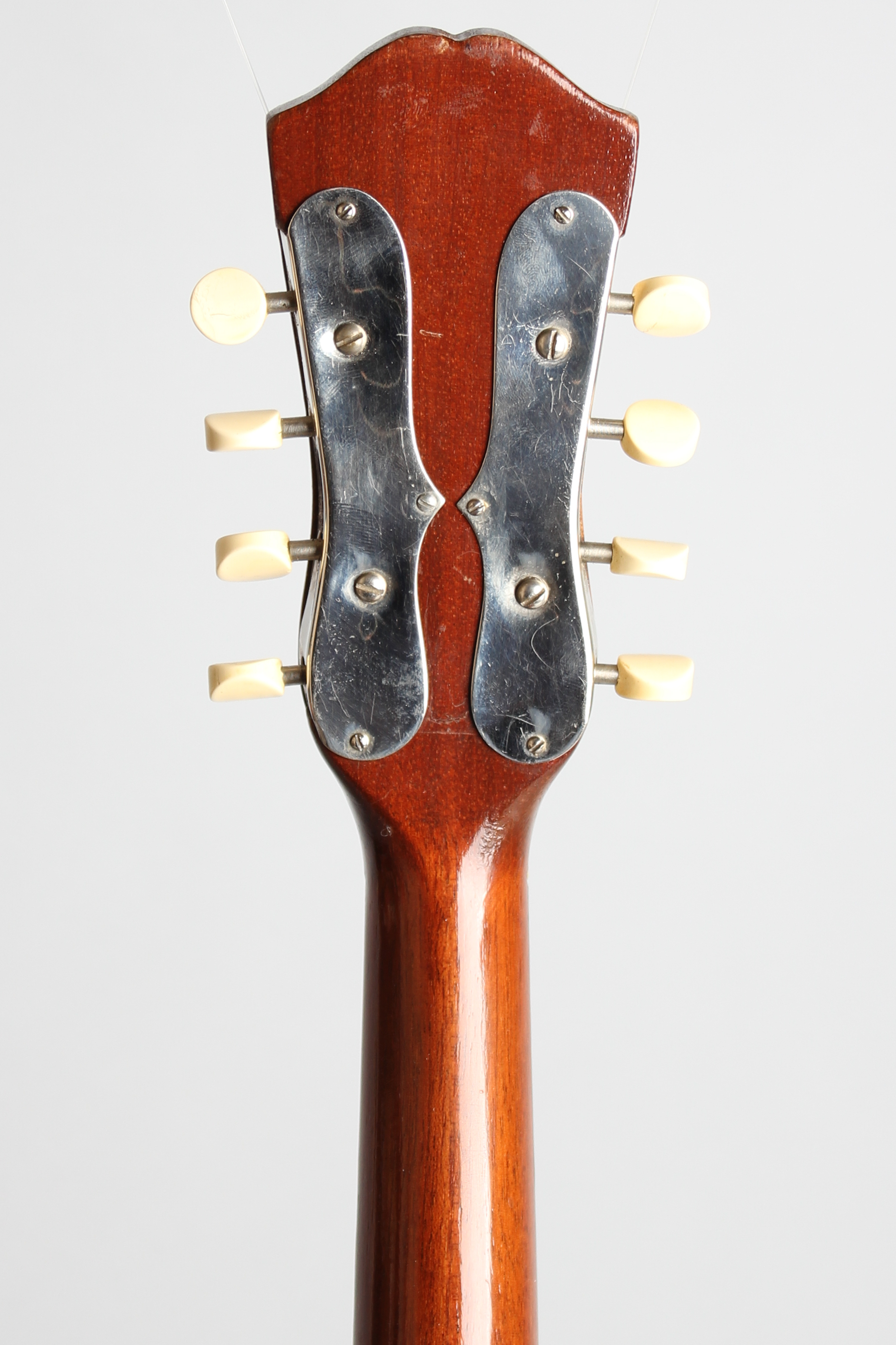 Favilla Marca Aquilla Flat Back, Bent Top Mandolin , c. 1925 | RetroFret