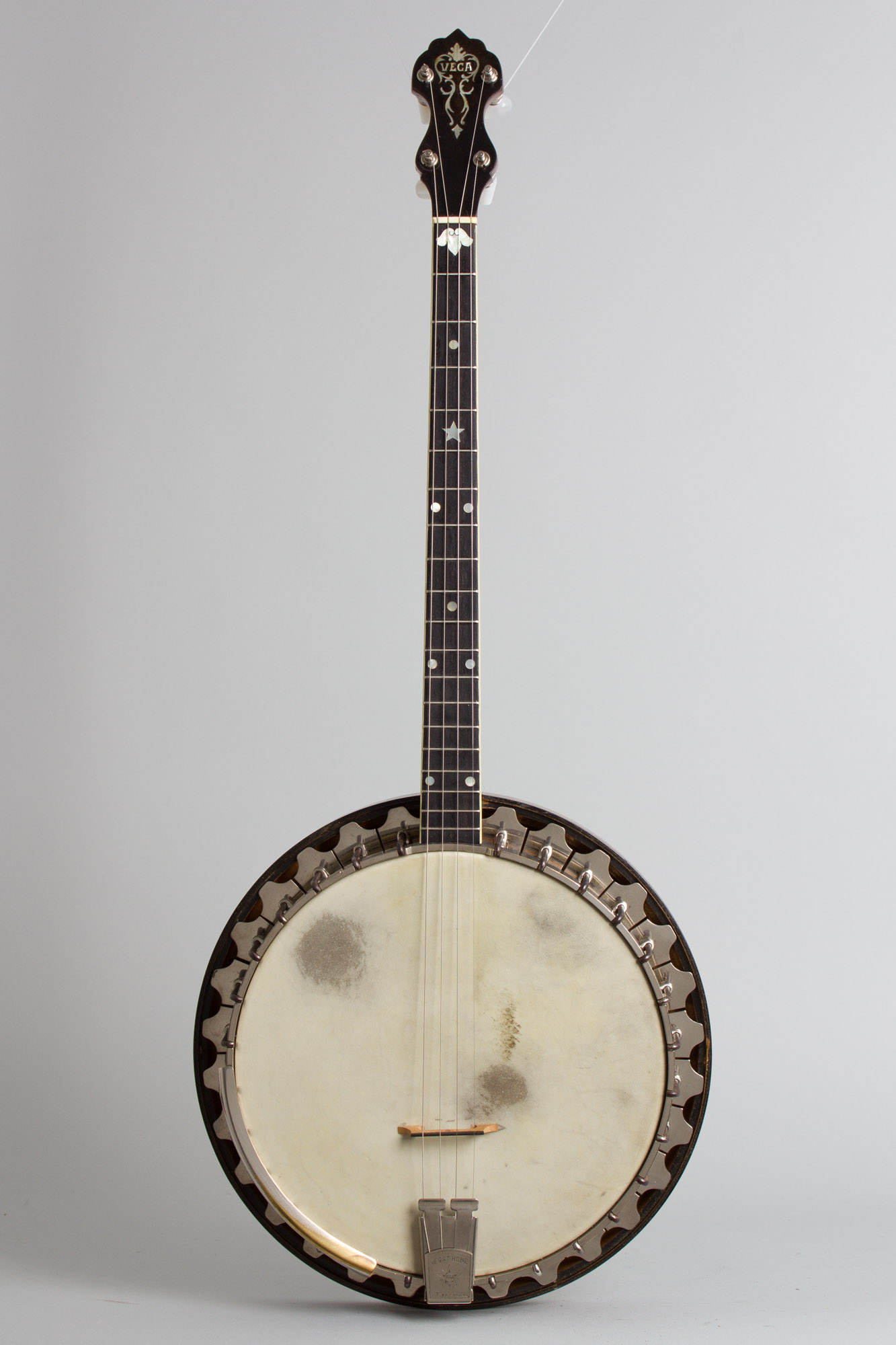 Vegaphone Professional Tenor Banjo (1927) | RetroFret