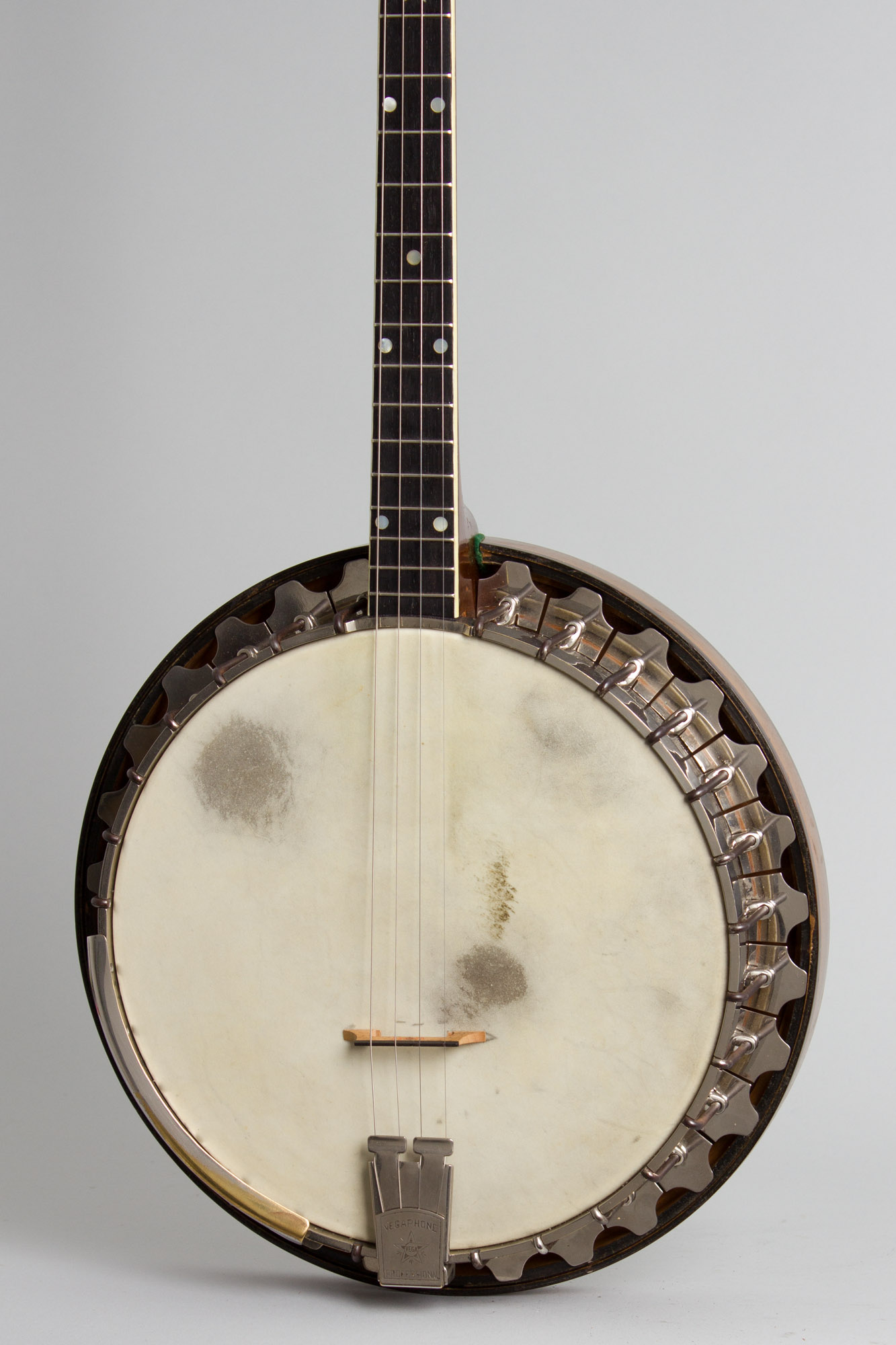 Vegaphone Professional Tenor Banjo (1927) | RetroFret