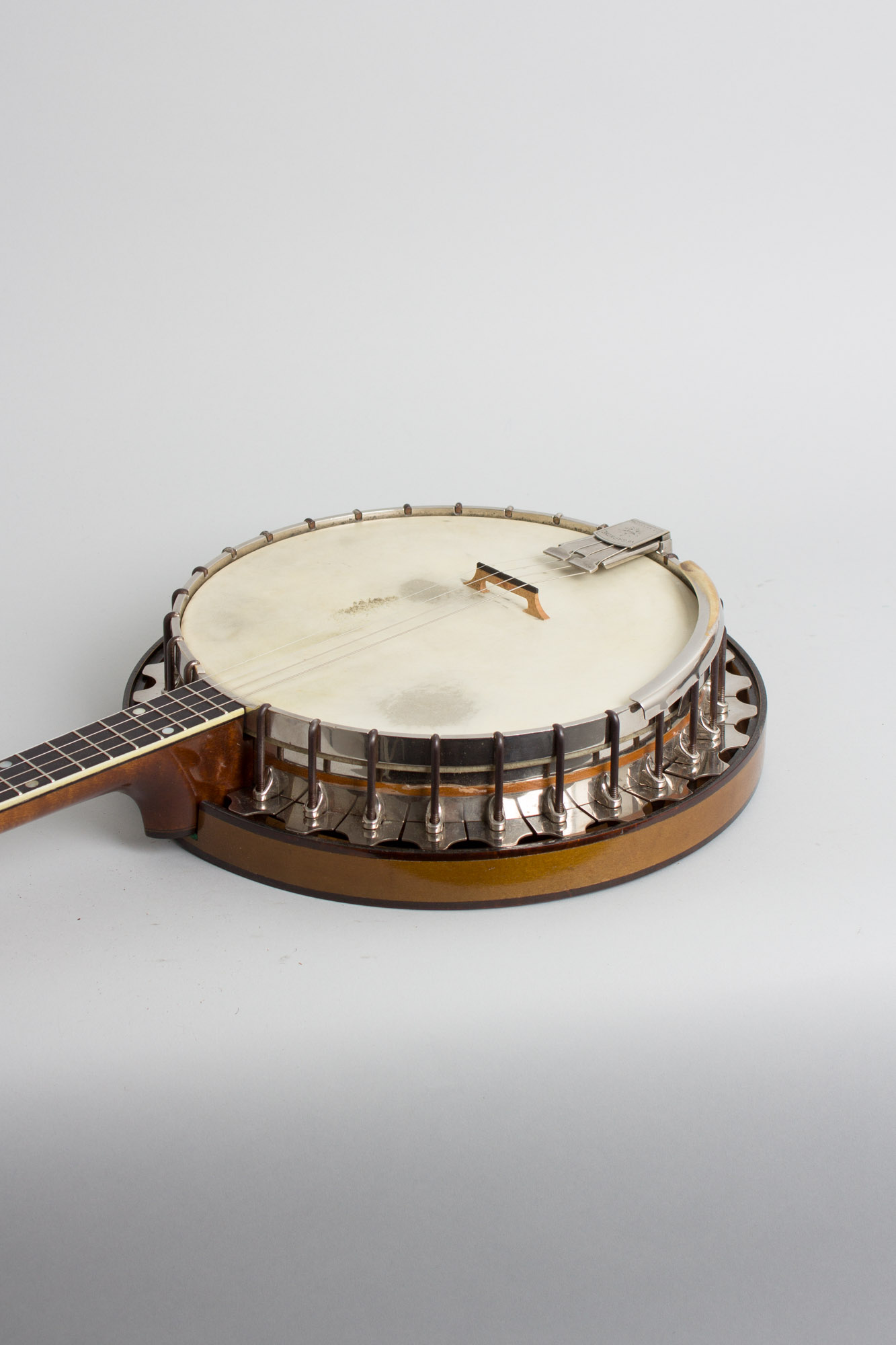 Vegaphone Professional Tenor Banjo (1927) | RetroFret