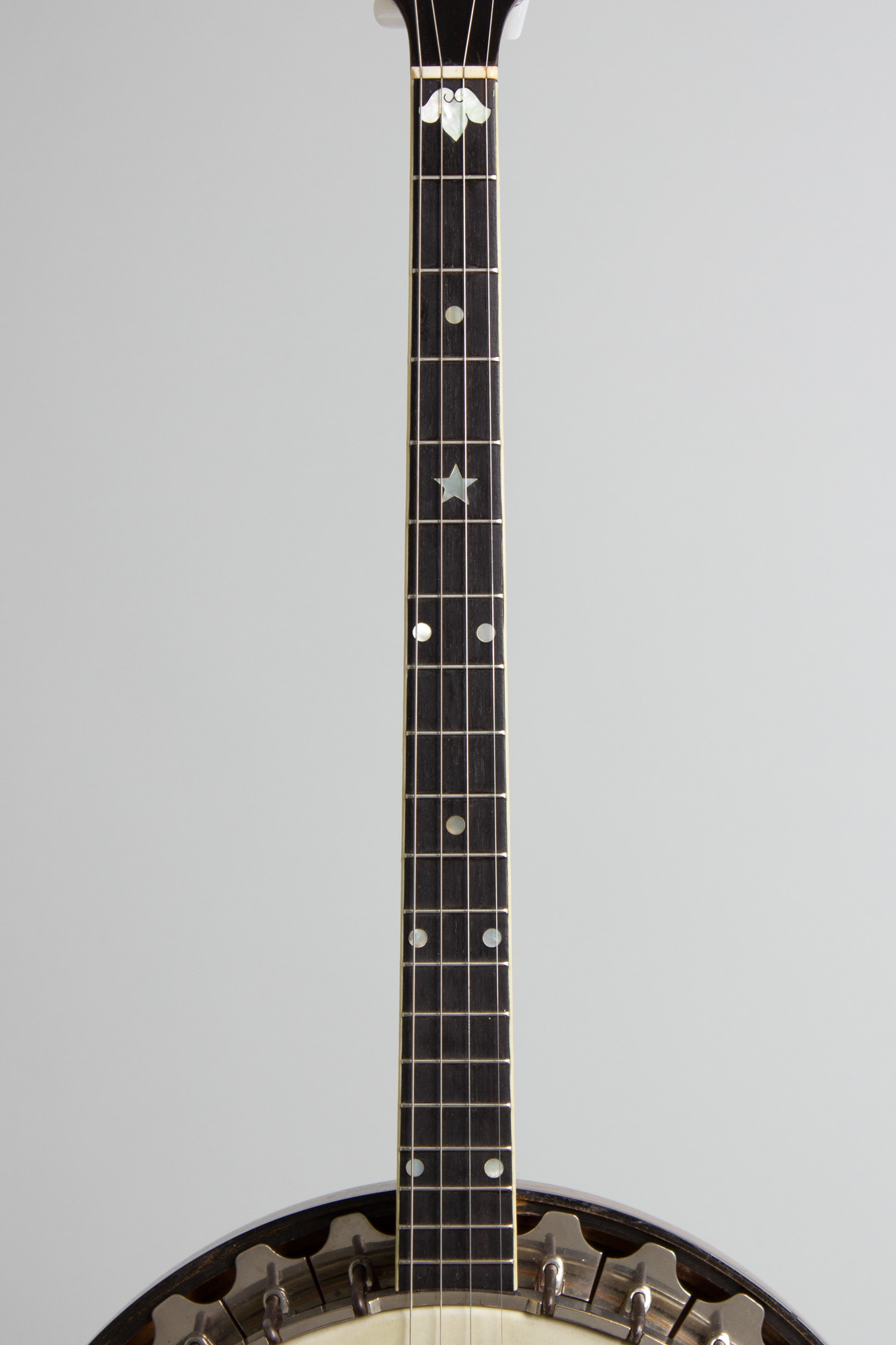 Vegaphone Professional Tenor Banjo (1927) | RetroFret